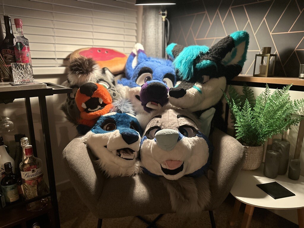 🦋 @pastry.wuff.blue 🦋 (@PastryWuff@owo.town) - OwO Town